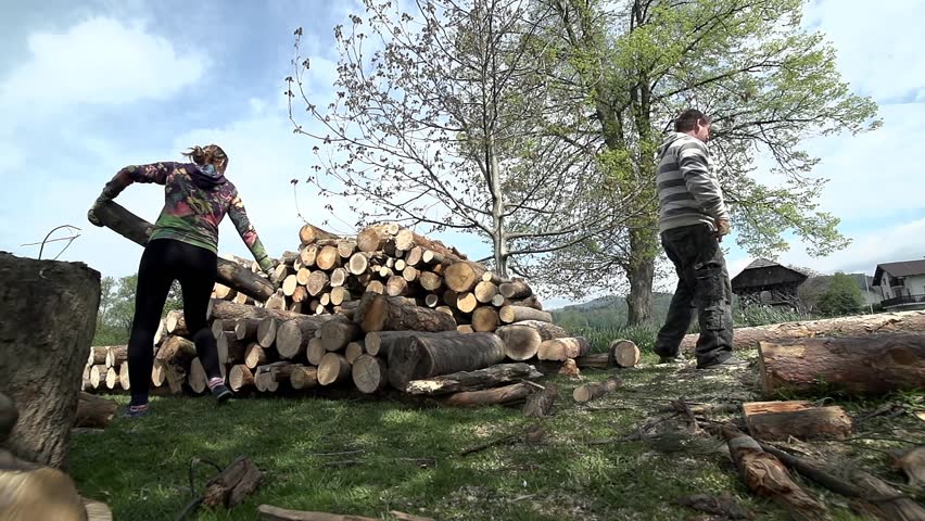 throwing log on pile timber low Stock Footage Video (100% Royalty-free ...