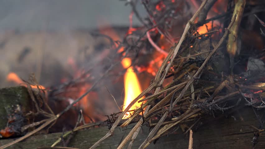Flames from Burning Wood Embers Stock Footage Video (100% Royalty-free ...