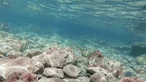 Shallow Lagoon Light Refraction On Rocks Stock Footage Video (100% ...