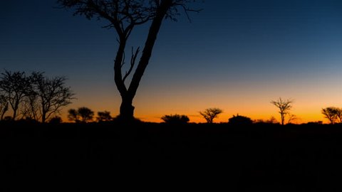 Slow Linear Parallax Sunset Timelapse Silhouetted Stock Footage Video ...