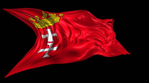 Flag Danzig 3d Animation Old Danzig Stock Footage Video (100% Royalty ...