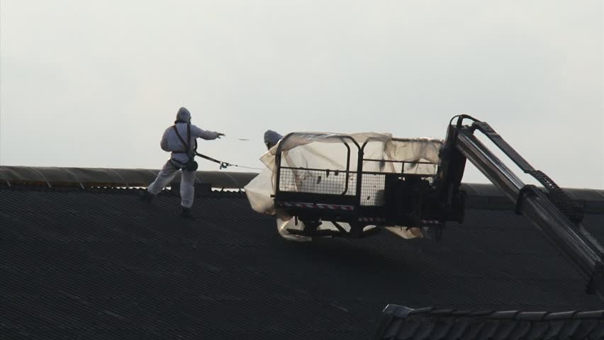 16 Dutch hood Stock Video Footage - 4K and HD Video Clips | Shutterstock