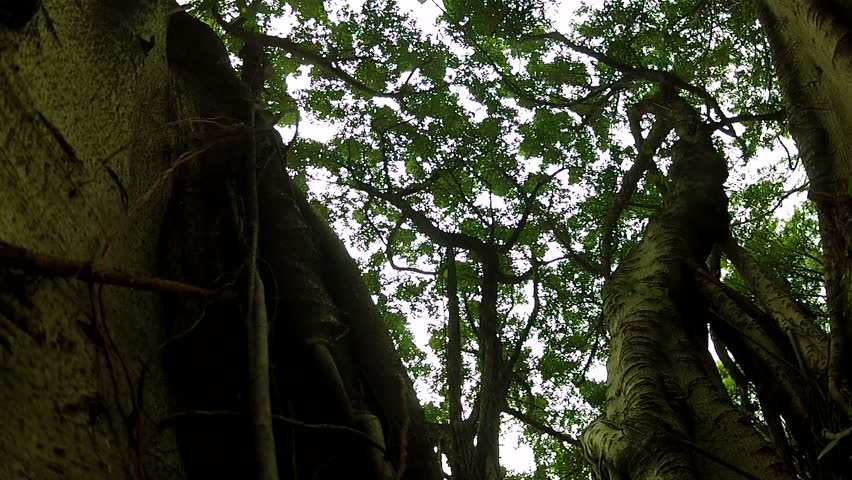 Marrichettu Stock Video Footage - 4K and HD Video Clips | Shutterstock