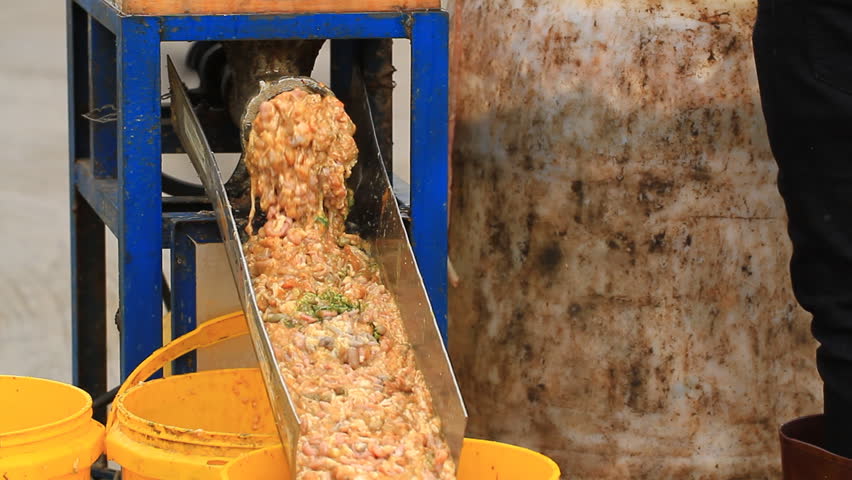 chicken intestine grinding by meat grinder Stock Footage Video (100% ...