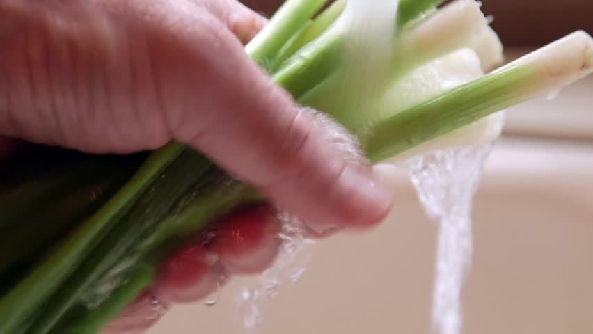 hand washing fresh green onions under Stock Footage Video (100% Royalty ...