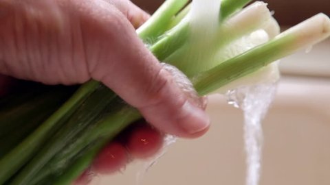 4k Hand Washing Fresh Green Onions Stock Footage Video (100% Royalty ...