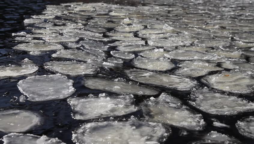 Fresh Ice Floating On Water Stock Footage Video (100% Royalty-free ...
