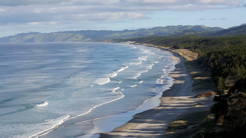 scenic view forestry beach northland new Stock Footage Video (100% ...