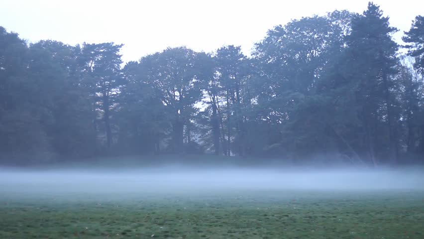 mistic fog woodshorror scene Stock Footage Video (100% Royalty-free ...