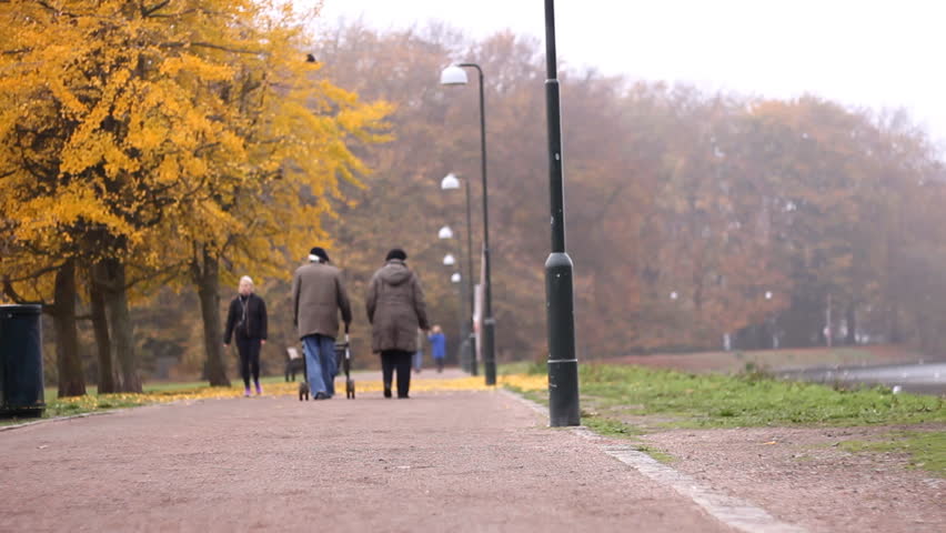 1980 x1080 Stock Video Footage - 4K and HD Video Clips | Shutterstock