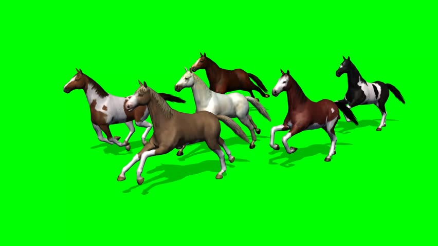 animated herd six horses running three Stock Footage Video (100% ...