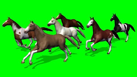 Racing Background Horses Racetrack Isolated On Stock Photo (Edit Now ...
