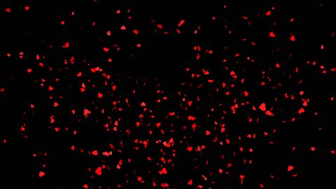 rose flower petals lens flares 30 Stock Footage Video (100% Royalty ...
