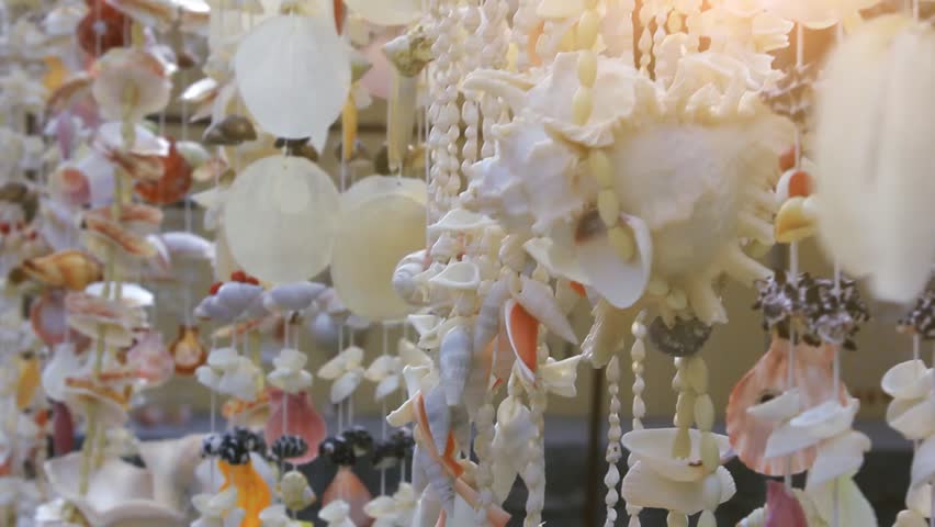 shells hanging on string glowing sunlight Stock Footage Video (100% ...