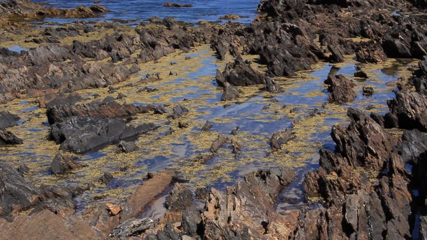 Geology - Sedimentary Rock Compression Stock Footage Video (100% ...