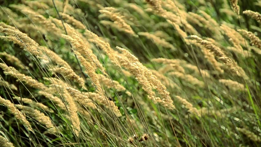 Simbolo Aria Stock Video Footage - 4K and HD Video Clips | Shutterstock