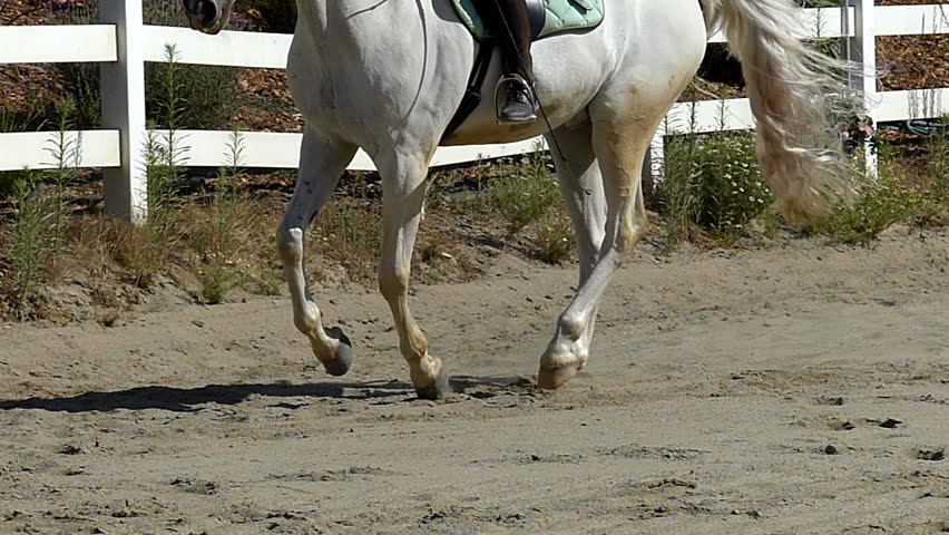 horse rider cantering close-up tracking shot Stock Footage Video (100% ...