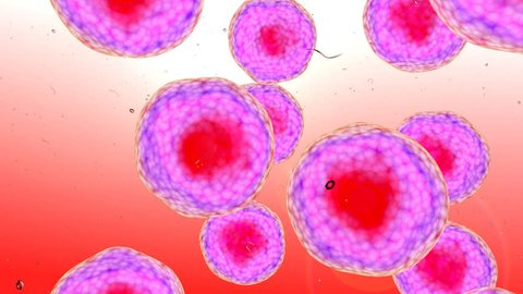 3d Animation Human Cells Under Microscope Stock Footage Video (100% ...