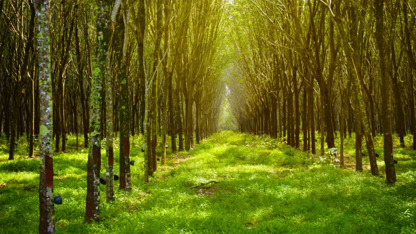 Alignment perspective Stock Video Footage - 4K and HD Video Clips ...