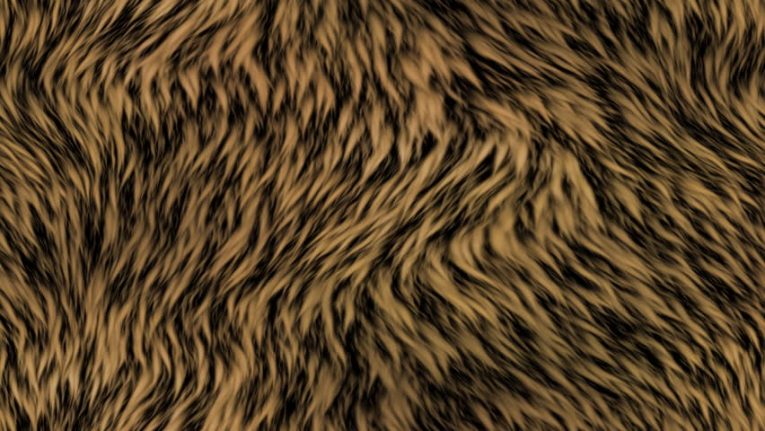 fur generated seamless loop video Stock Footage Video (100% Royalty ...