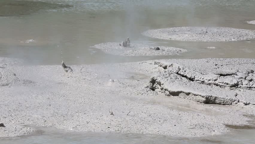 boiling volcanic mud pool near rotorua Stock Footage Video (100% ...