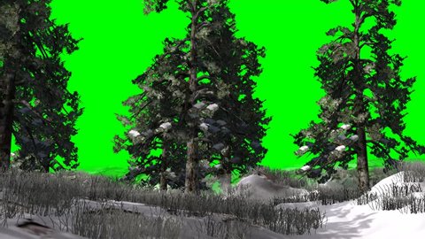 Snowy Christmas Landscape Green Screen Stock Footage Video (100% ...