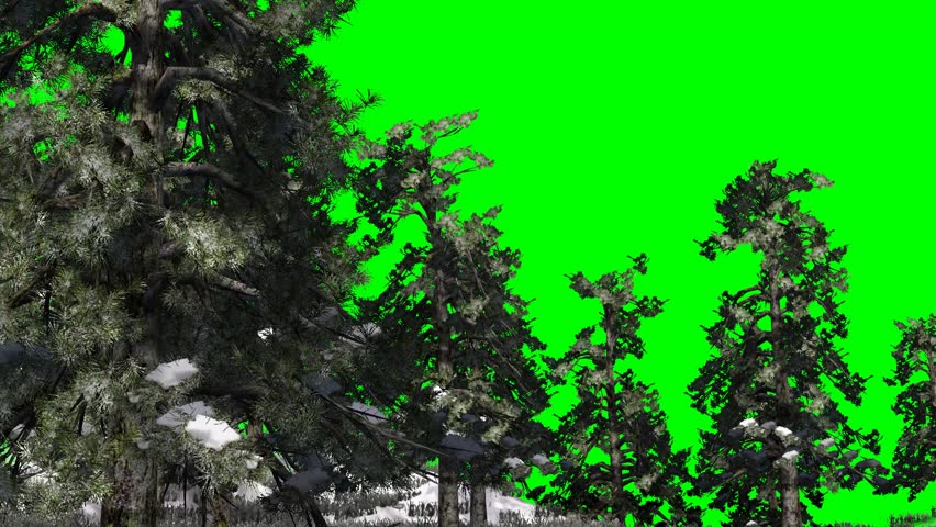 snowy christmas landscape - green screen Stock Footage Video (100% ...