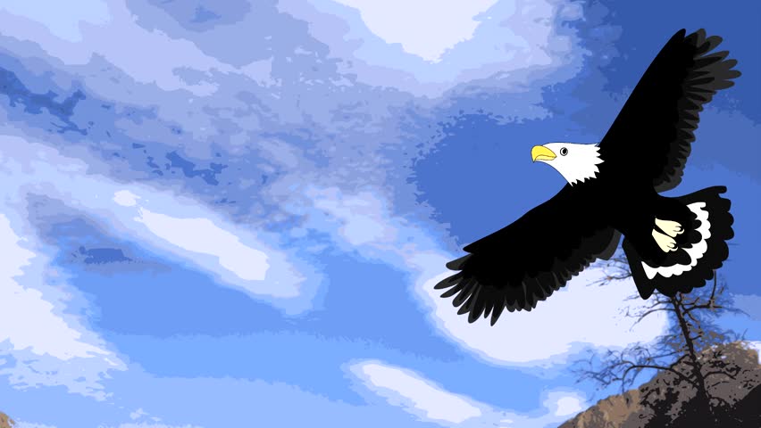 Lovely Eagle Soaring in the Stock Footage Video (100% Royalty-free ...