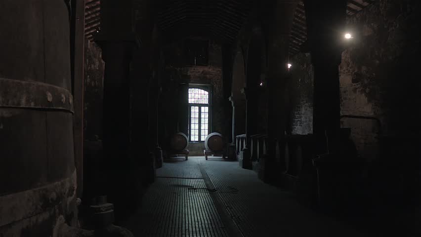 dark creepy psychiatric ward hallway flickering Stock Footage Video ...