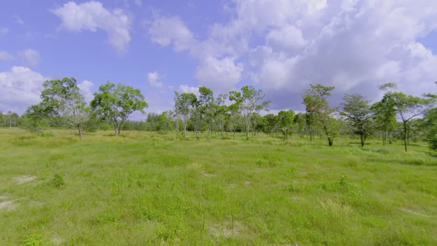 Moving Over Green Grass On Stock Footage Video (100% Royalty-free ...