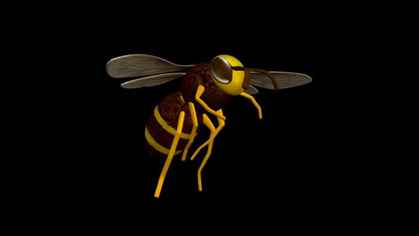 3d flying bee animation Stock Footage Video (100% Royalty-free) 8199106 ...
