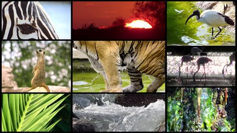 Luxury Botanical Golden Texture Wall Art Stock Vector (Royalty Free ...