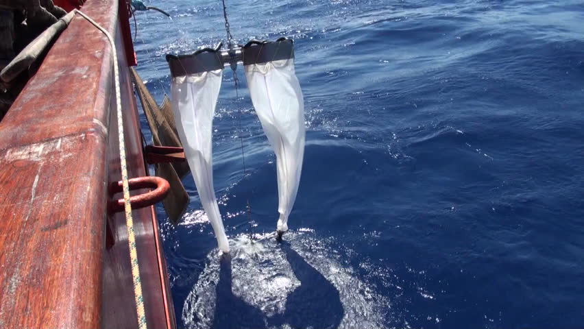 BONGO-PAIRED-PLANKTON-NET-SYSTEM Footage, Videos and Clips in HD and 4K ...
