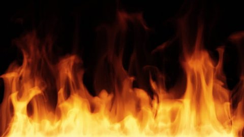 Fire Loop Stock Footage Video (100% Royalty-free) 825076 | Shutterstock