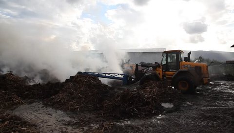 Kfar Hamaccabi Israel December 20 2014 Stock Footage Video (100% ...