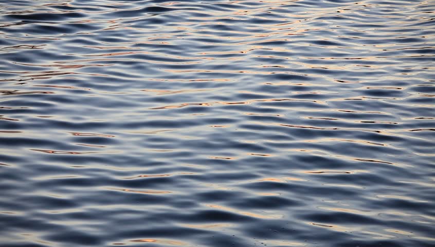 water ripples closeup Stock Footage Video (100% Royalty-free) 830890 ...