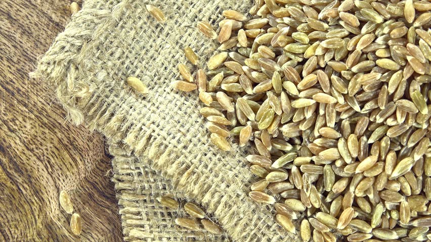 green spelt not loopable 4k uhd Stock Footage Video (100% Royalty-free ...