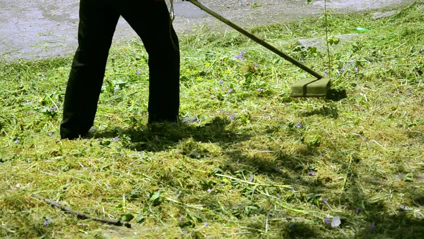 Grass Cutting with Wire Lawn Stock Footage Video (100% Royalty-free ...