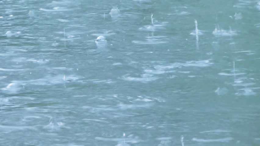 raindrops on water surface - video Stock Footage Video (100% Royalty ...