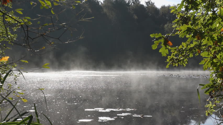 morning mist drifts over sunlit water Stock Footage Video (100% Royalty ...