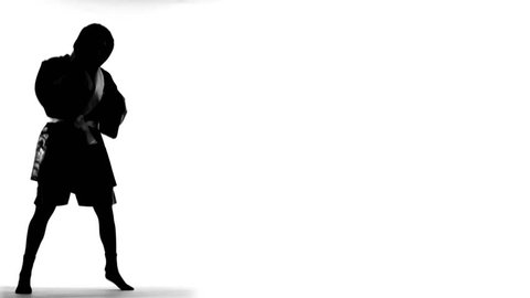 Silhouette Boxer Robe Stock Footage Video (100% Royalty-free) 857962 ...