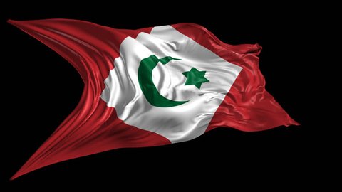 Flag Rif 3d Animation Rif Flag Stock Footage Video (100% Royalty-free ...