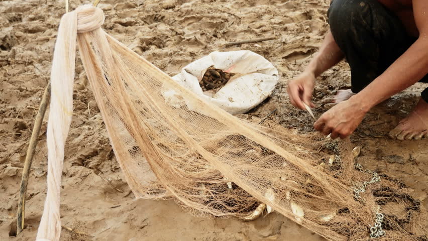 fisherman removing enmeshed fish his net Stock Footage Video (100% ...