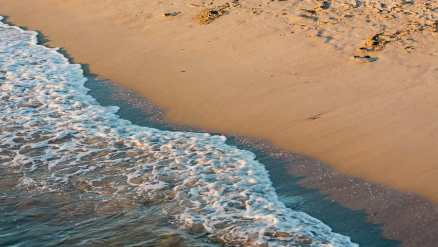| Shutterstock