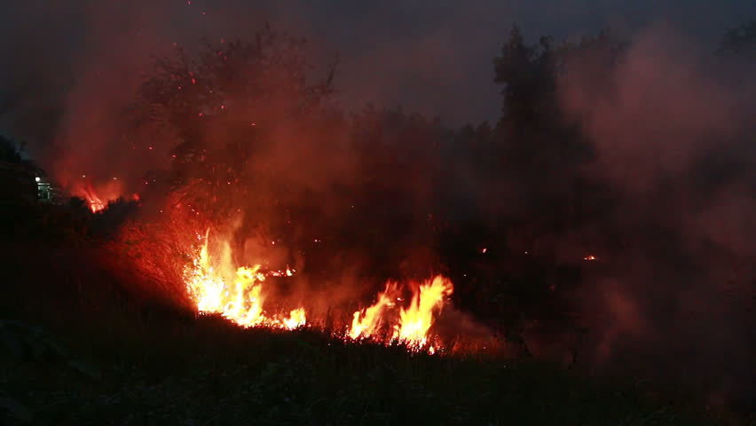 fire burn storm forest Stock Footage Video (100% Royalty-free) 8620603 ...