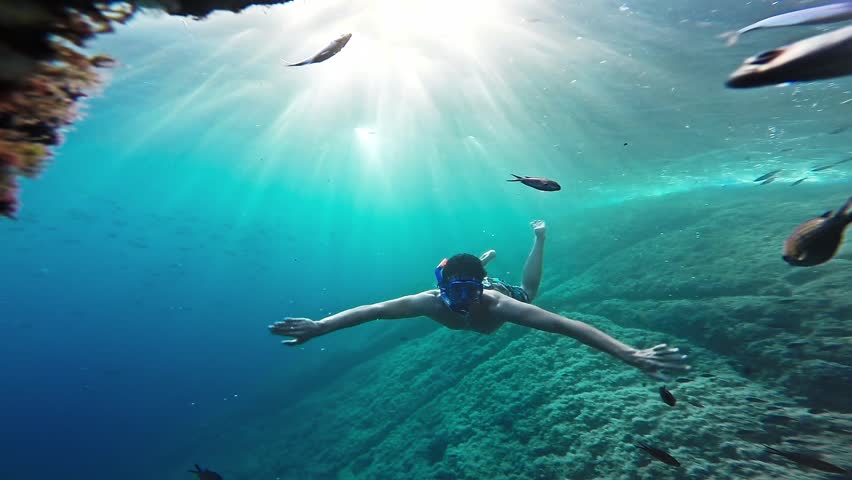 Fish Underwater Swimming