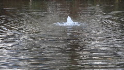 Waterjet Sprouting Pond Water Jet Springing Stock Footage Video (100% ...