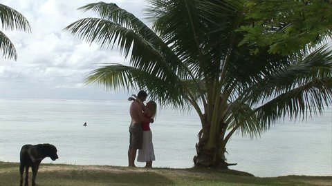 Couple Hugging Next Palm Tree Stock Footage Video (100% Royalty-free ...