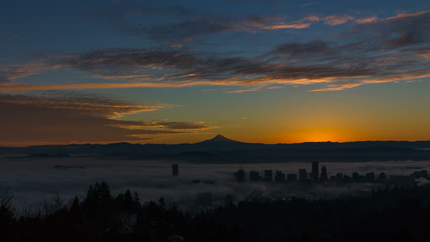 thick rolling dense fog over city Stock Footage Video (100% Royalty ...