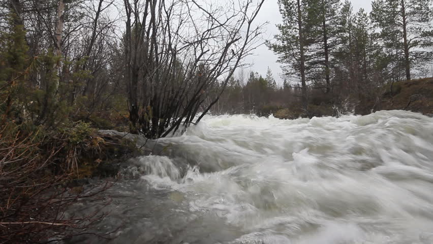 Rapid Tumultuous River in Taiga Stock Footage Video (100% Royalty-free ...